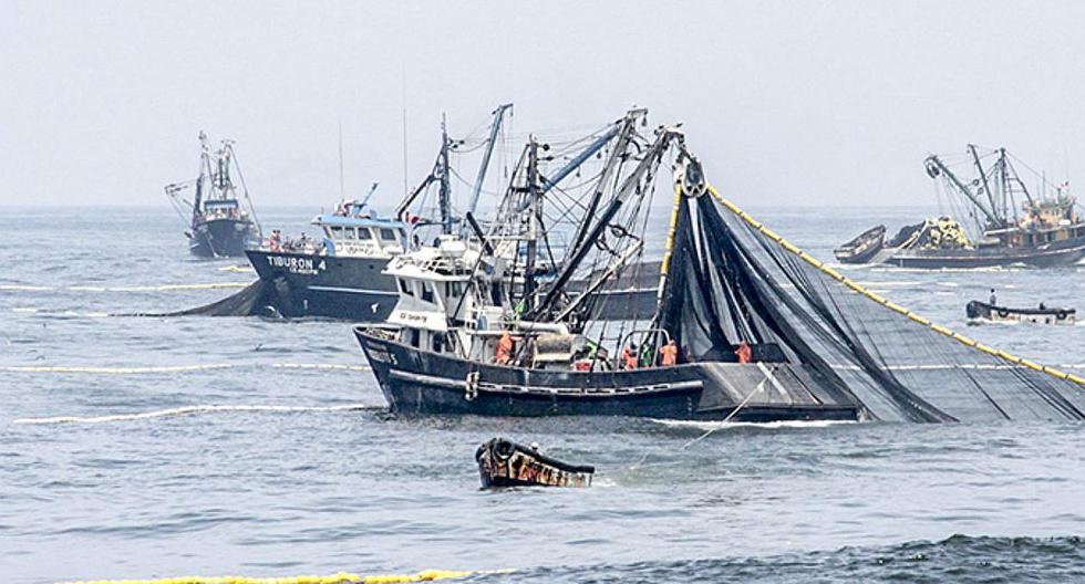 Armada chilena captura dos barcos pesqueros peruanos en zona económica ...