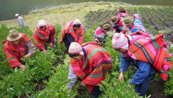 Mi Chacra Productiva estará en 5 regiones | PERU | CORREO