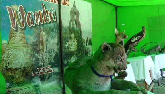 Exponen animales disecados en Parque de la Identidad | PERU | CORREO