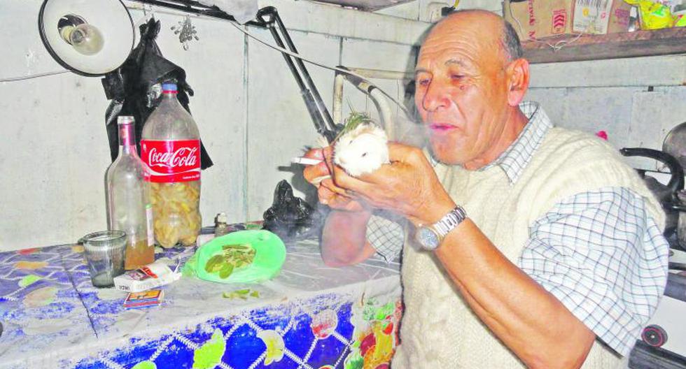 El jubeo con el cuy, el método casero de radiografía | PERU | CORREO
