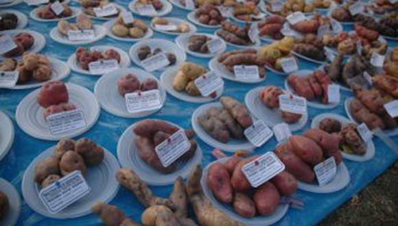 500 variedades en el festival de la papa nativa | PERU | CORREO