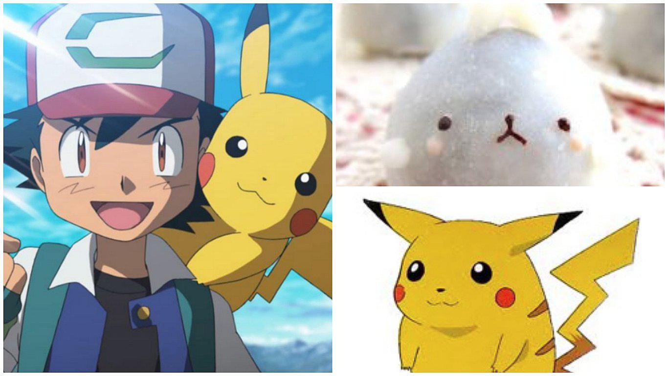 Pokémon: ¿Pikachu está basado originalmente en un ratón? | MISCELANEA ...