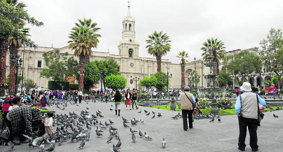 Alerta por proliferación de palomas | PERU | CORREO