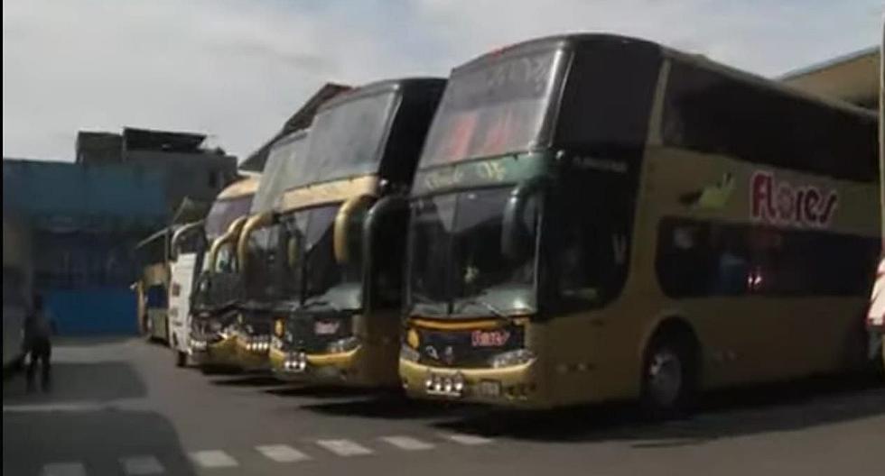 Transportes Flores Hnos tiene 500 buses disponibles para el traslado de ...