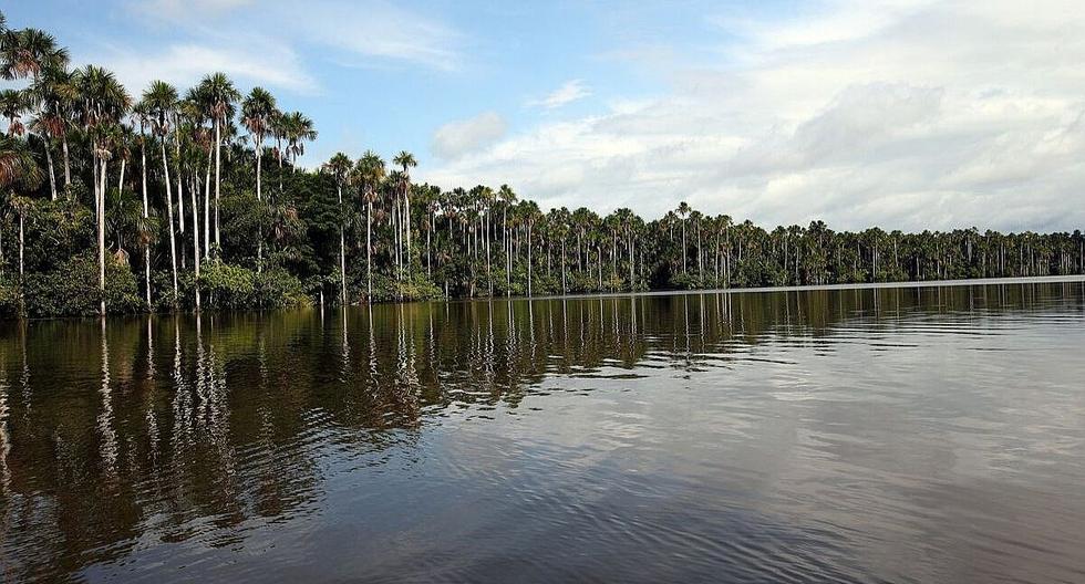 Lago Sandoval: cuatro motivos para visitar este hermoso lugar en la ...