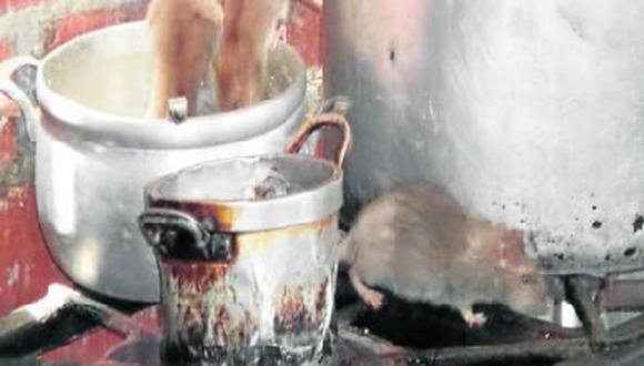Ratas en la cocina de mercado del centro | PERU | CORREO