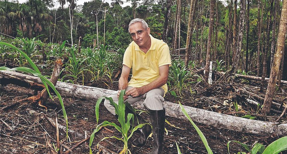 Enrique Lorente, empresario e investigador español: "Perú puede ser una ...