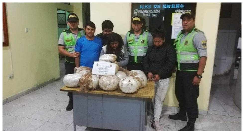 Cuatro Caen Con 27 Kilos De Marihuana Edicion Correo