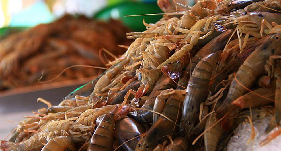 PRODUCE anunció que se levanta veda de camarón de río | EDICION | CORREO