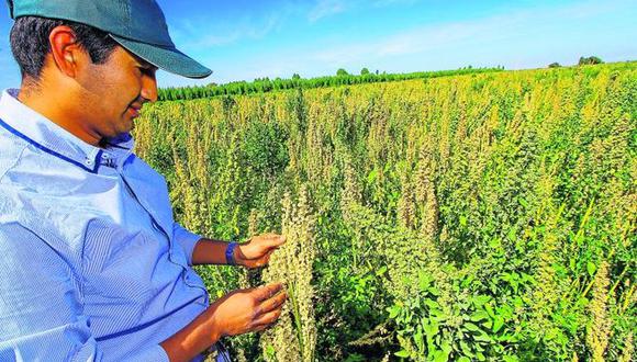 Agro Rural invirtió 1,000 millones en regiones en últimos cuatro años ...