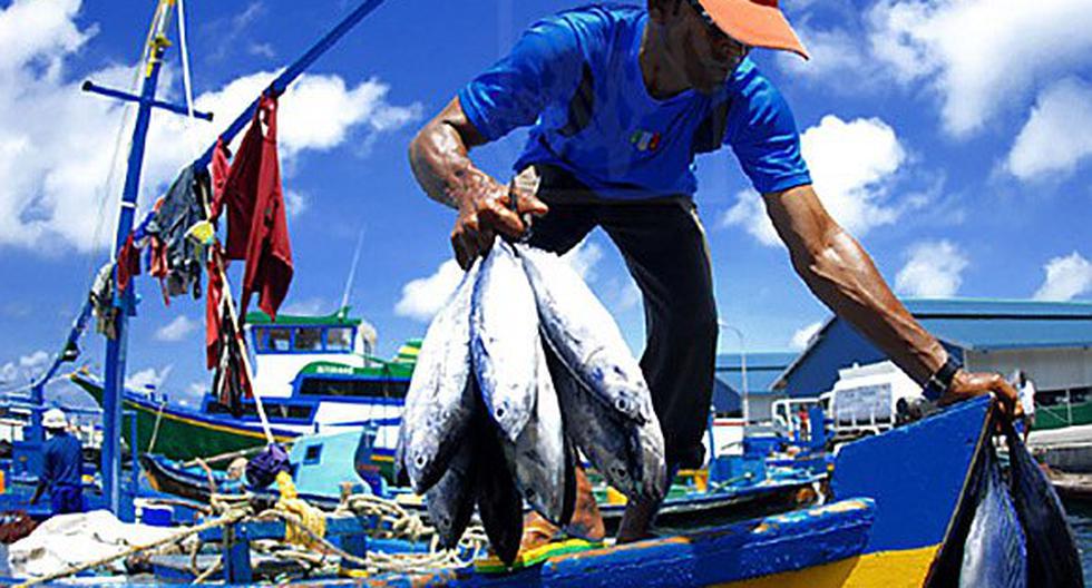 Produce trabaja cuotas para pesquerías artesanales | ECONOMIA | CORREO