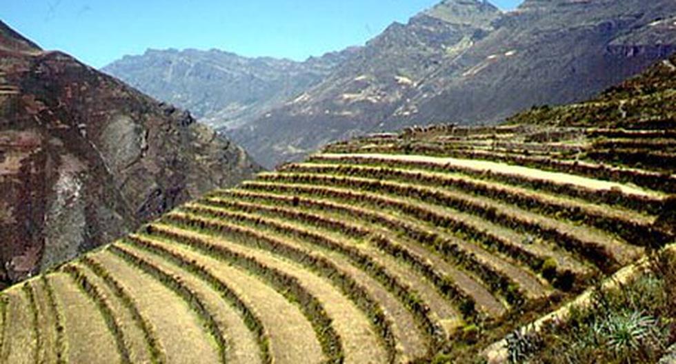 Recuperarán 20 mil hectáreas de andenes abandonados | PERU | CORREO