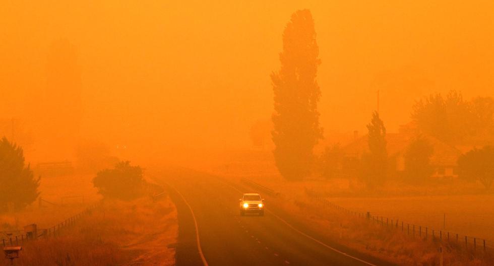 Australia: Humo de los incendios forestales llega hasta Chile y ...