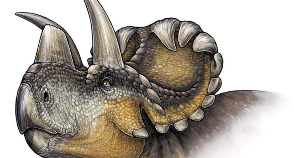 Descubren nueva especie de dinosaurio en Canadá | MUNDO | CORREO