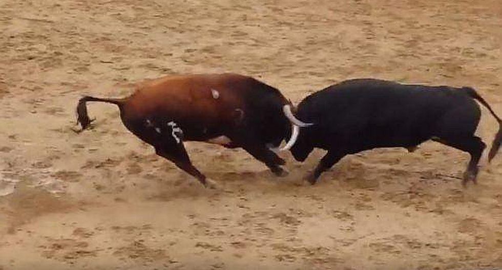 Puno: Violento choque de dos toros terminó en tragedia [VIDEO ...