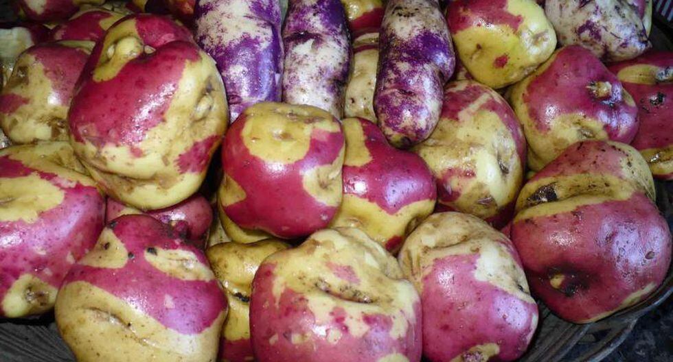 Perú: "Papas nativas huancavelicanas" es la marca de papas nativas ...