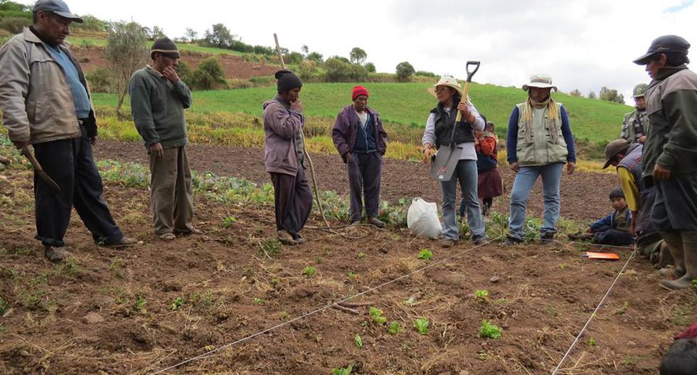 Cusco: entregarán semillas a campesinos | PERU | CORREO