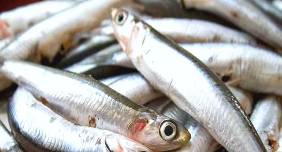 Productos a base de anchoveta llegan a mercados de Lima | PERU | CORREO
