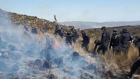 394 hectáreas de flora y fauna fueron consumidas por el fuego en Pocsi ...