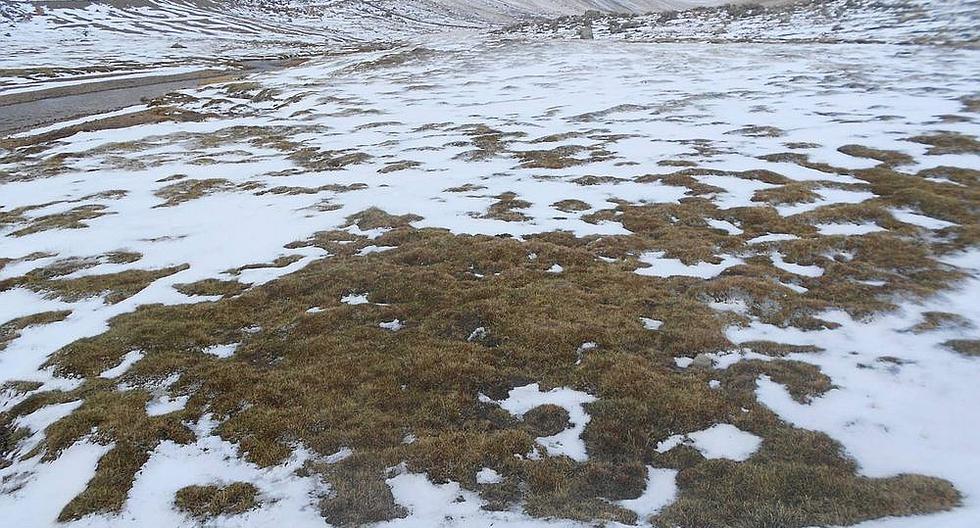 Chuapalca continúa registrando las temperaturas más bajas en el Perú ...