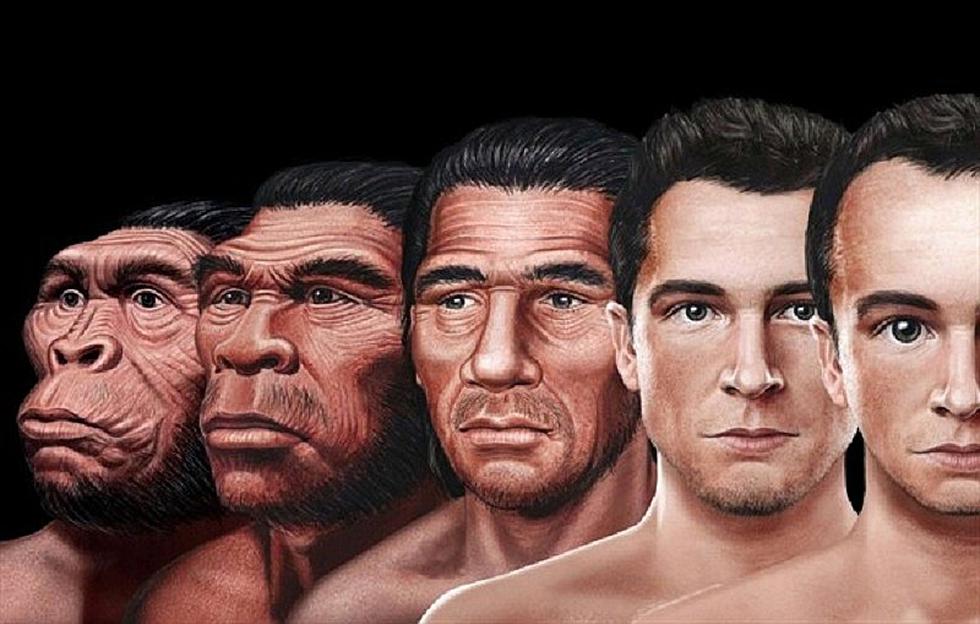 La Ciencia Revela Cómo Será El Rostro Humano En 100 Mil Años ImÁgenes