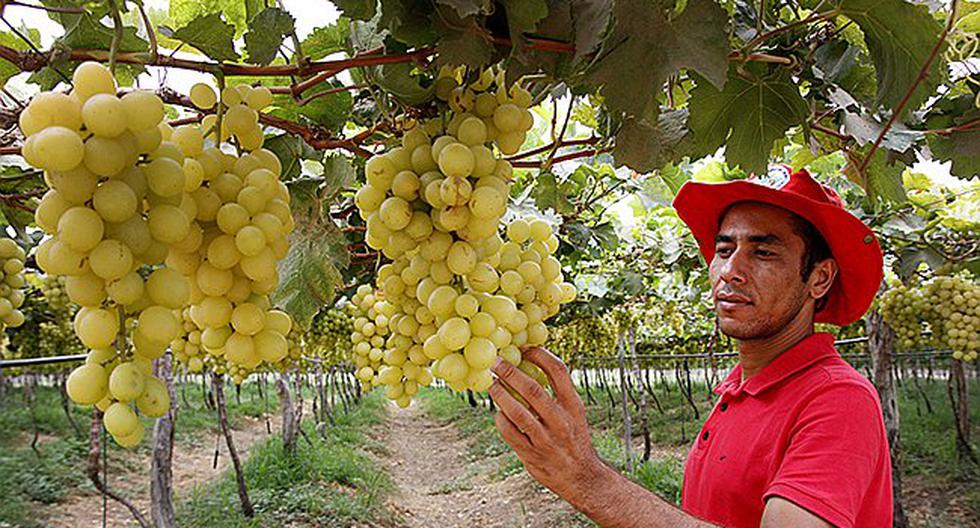 Piura 12 Mil Hectáreas De Tierras Se Pierden Al Año En La Región
