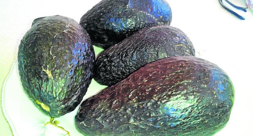 Huanta, primera en exportar palta al mundo | EDICION | CORREO