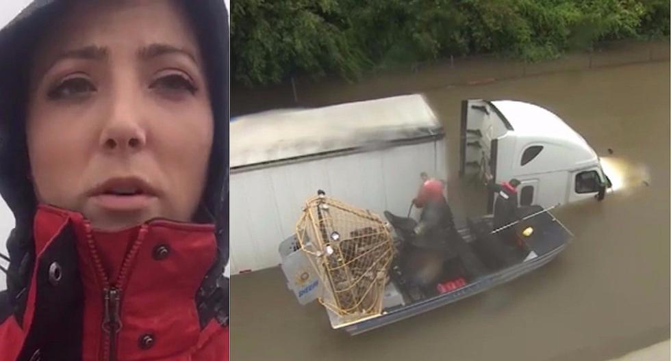 Huracán Harvey: Reportera salvó a conductor de camión atrapado en el ...