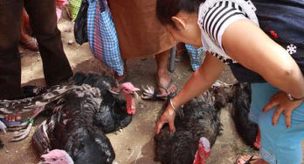 Hoy culmina I Feria del Pavo Criollo | PERU | CORREO