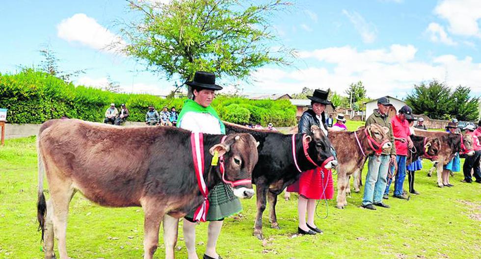 Monta natural en las vacas disminuye | EDICION | CORREO