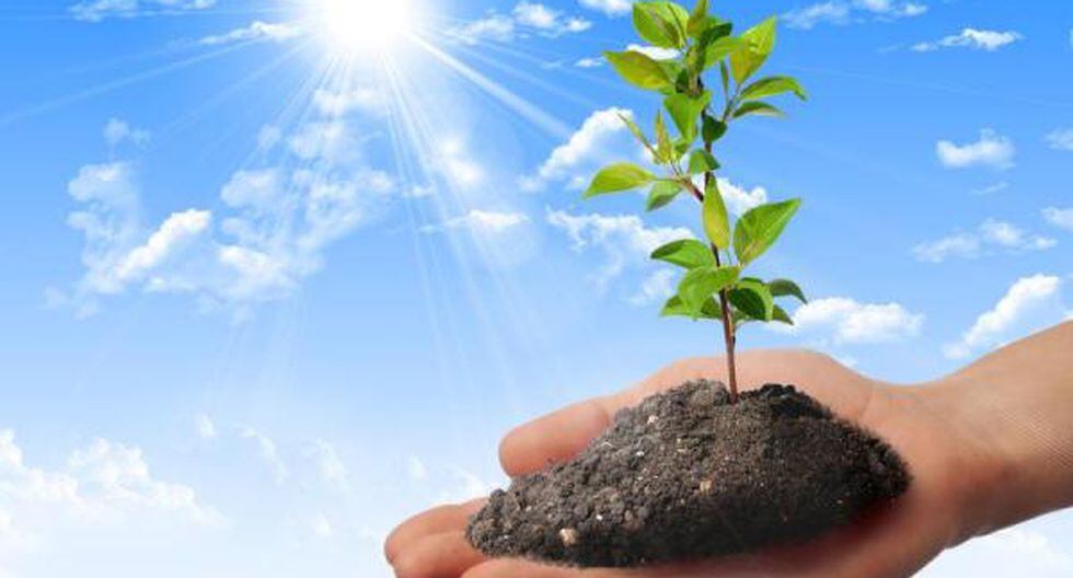 A cuidar el mundo Tendencia | Correo