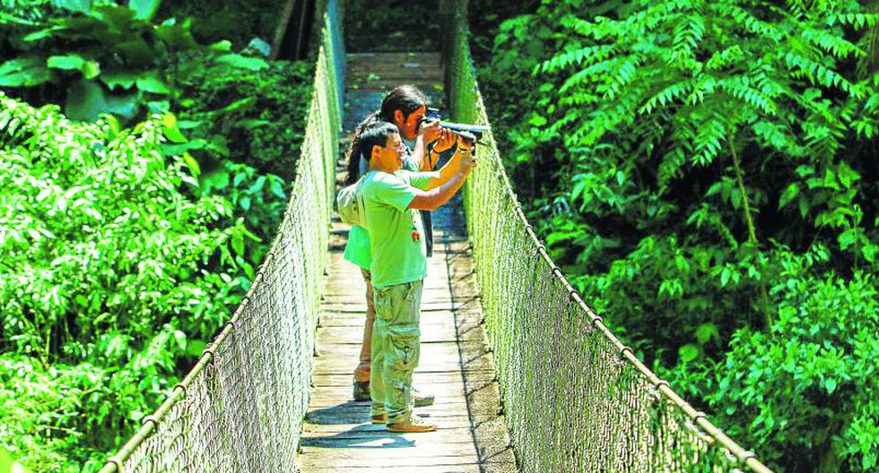 En feriado largo turistas prefieren ir a Selva Central | PERU | CORREO