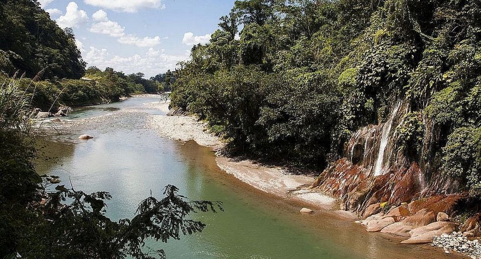 Tendencia: Selva peruana: Estos datos debes tener en cuenta antes de ...