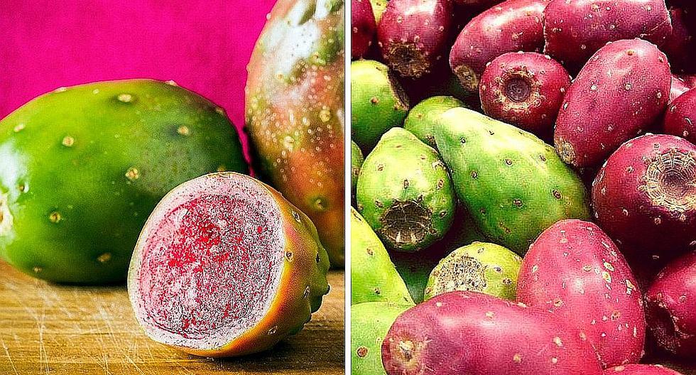 ¿Por qué es importante consumir tuna? Conoce sus 8 beneficios para la ...