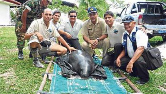 Rescatan a manatí amazónico en peligro de extinción | PERU | CORREO