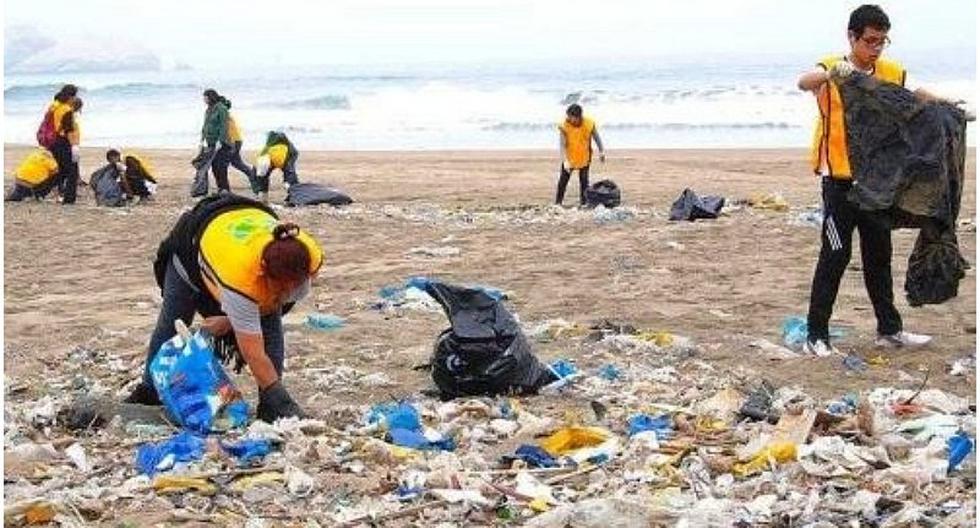 ¿Quieres ayudar a limpiar las playas? conoce cómo hacerlo | EDICION ...
