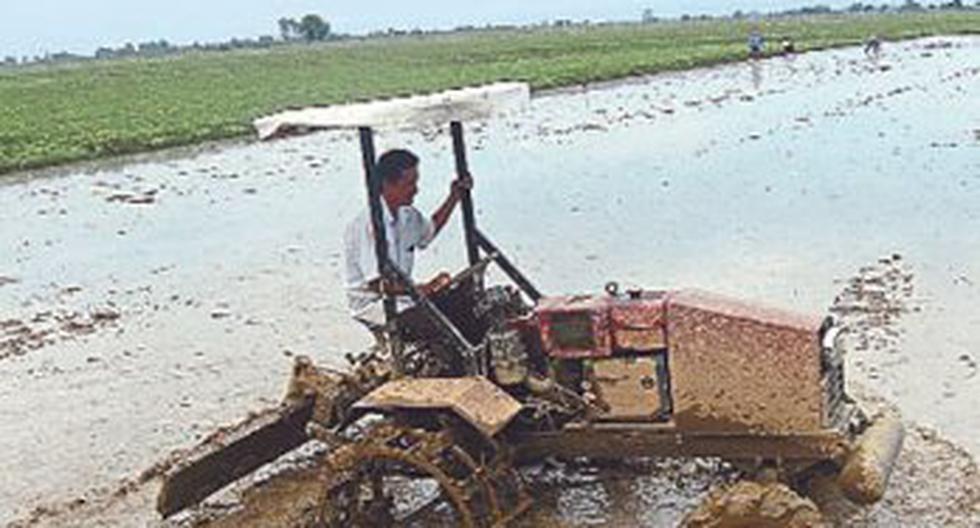 Transforman "mula mecánica" en tractorcito | PERU | CORREO