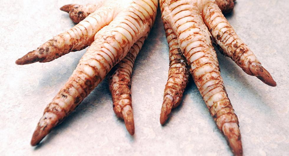 Chile: Científicos crean genéticamente un pollo con patas de dinosaurio ...