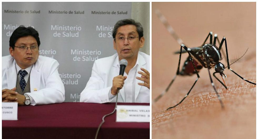 Zika en Perú: Reportan primer caso autóctono de virus por transmisión ...