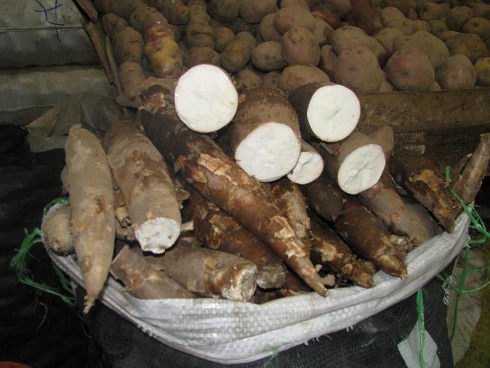 La yuca y su poder saciante | PERU | CORREO
