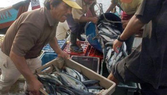 A falta de anchoveta, caballa | PERU | CORREO
