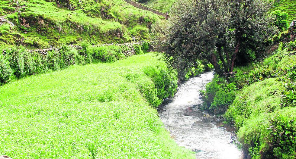 Pasco: Seis ríos se llenan de plomo, zinc y cobre | PERU | CORREO