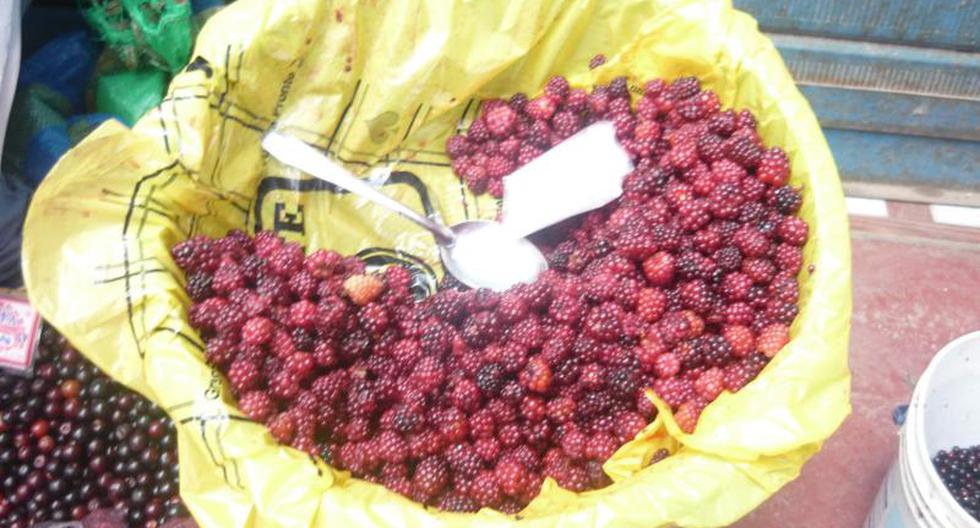 La mora, pequeña joya silvestre, está de vuelta | PERU | CORREO