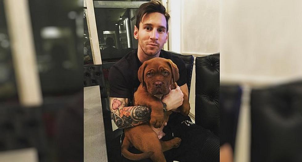 Lionel Messi: fans quedaron en 'shock' al ver cómo creció su mascota ...