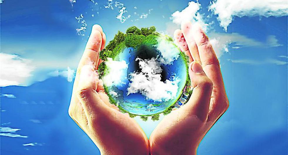 A cuidar el mundo | MISCELANEA | CORREO