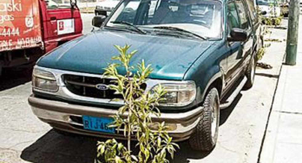 "No más árboles" | PERU | CORREO