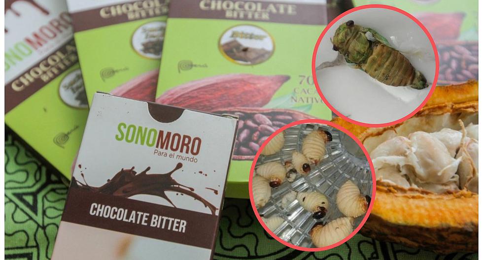 Crean chocolate elaborado con gusano e insecto de selva central ...