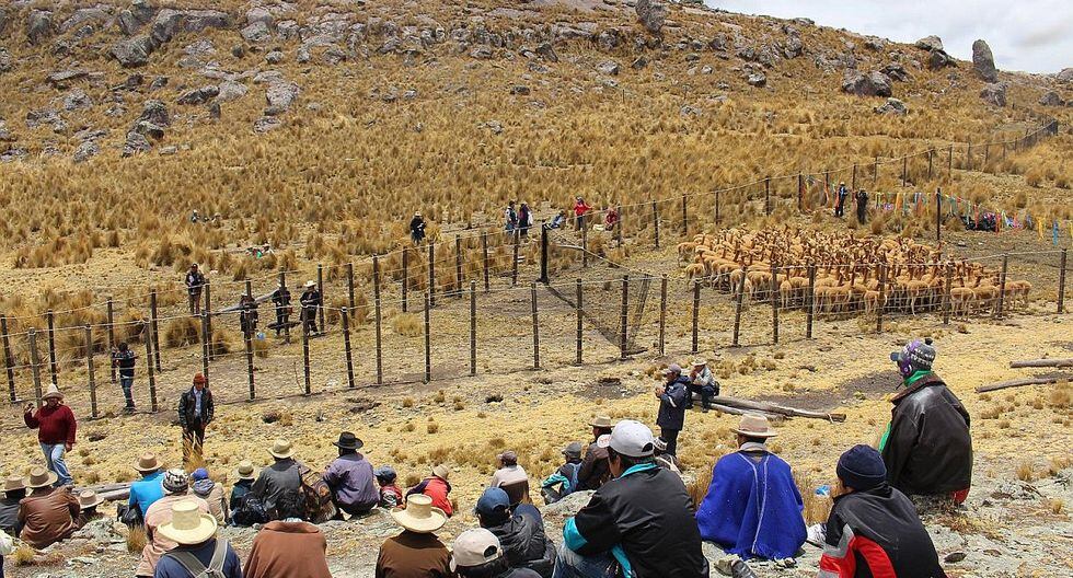 La Libertad: Se viene la Gran Fiesta del “Chaccu 2017” de Cahuide ...