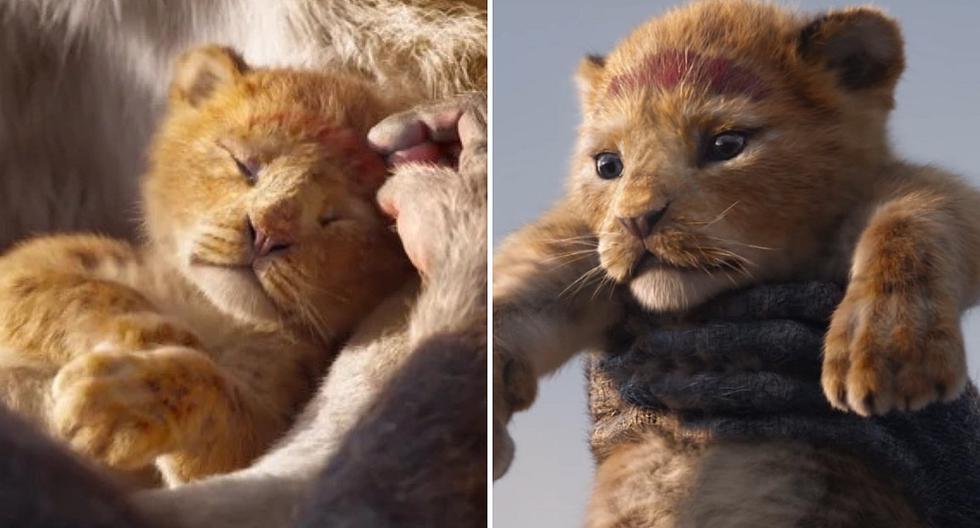 Disney lanza el tráiler oficial del live action de "El Rey León" (VIDEO ...