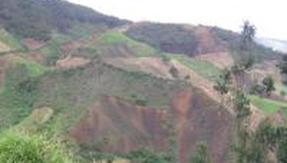 Bosques artificiales crecen en el valle y deforestación en la selva es ...